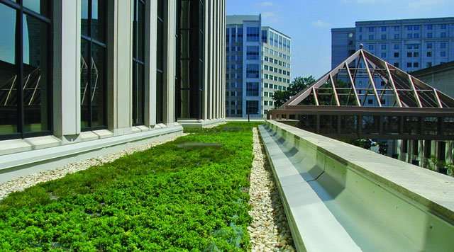 Mise en oeuvre de toit végétal, toit vert, toits végétaux - Écohabitation