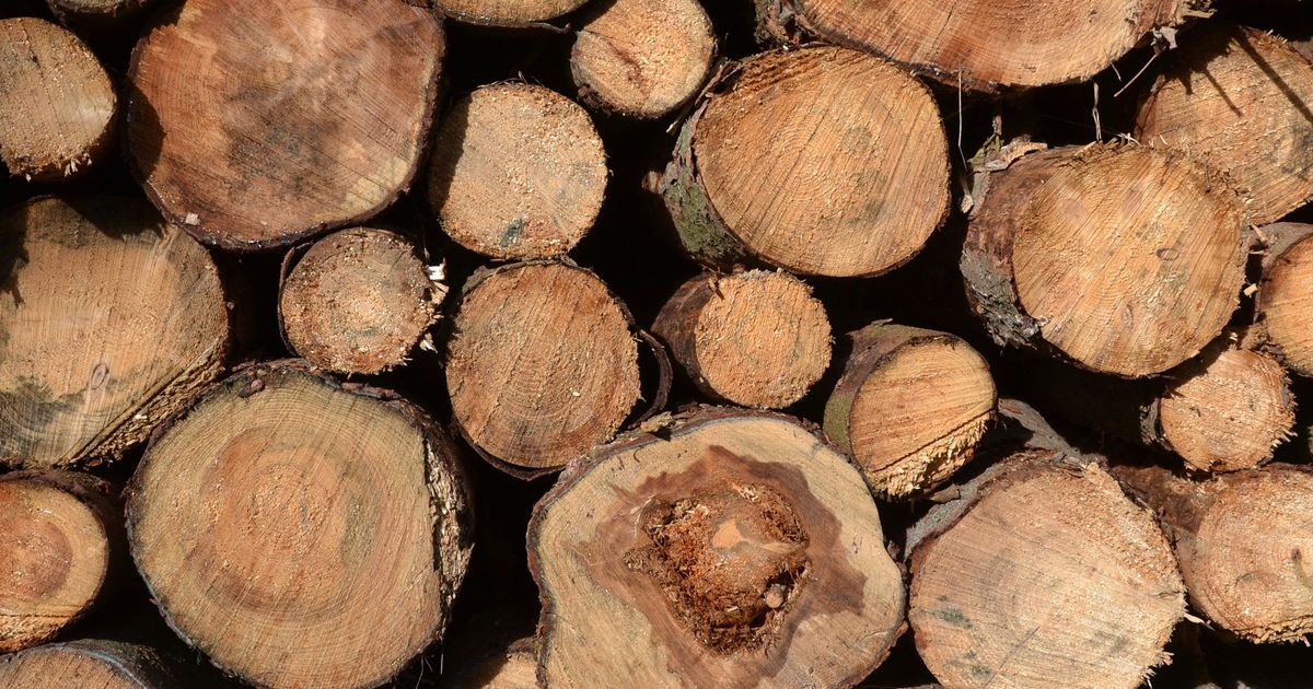 De nouveaux matériaux certifiés FSC disponibles au Québec - Écohabitation