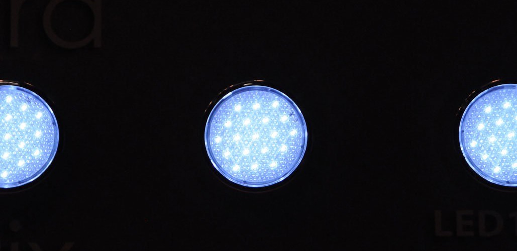 L’ampoule à diodes électroluminescentes (LED) - Écohabitation