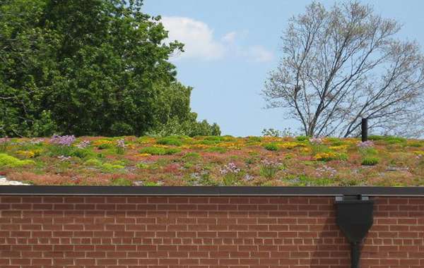Mise en oeuvre de toit végétal, toit vert, toits végétaux - Écohabitation