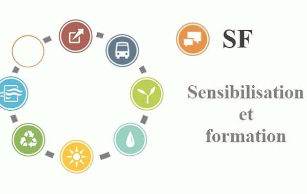 Contreplaqué et isolant - Écohabitation