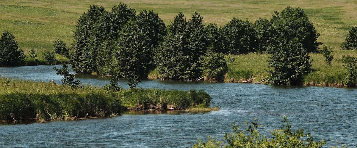 L'aménagement Paysager au Bord de l'eau - Écohabitation