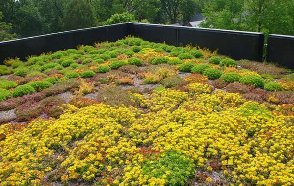 Mise en oeuvre de toit végétal, toit vert, toits végétaux - Écohabitation