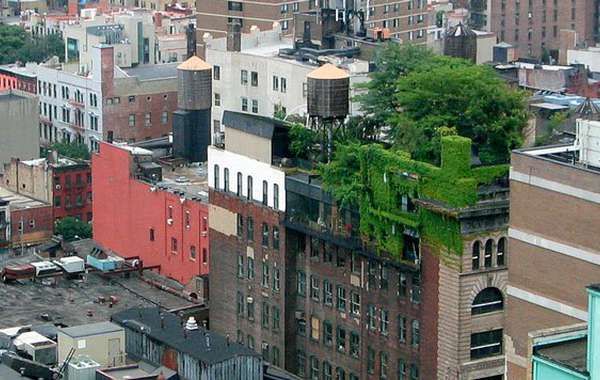 Différents types de toits végétalisés : intensif, semi-extensif, exten ...