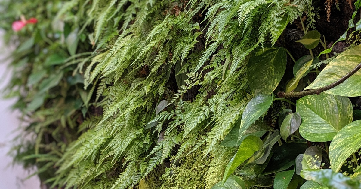 Rubino - Post réalisation - Écohabitation