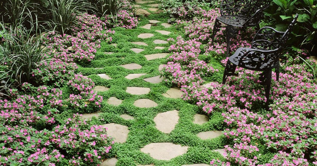 Couvre-sol pour les projets de construction écologiques - Écohabitation